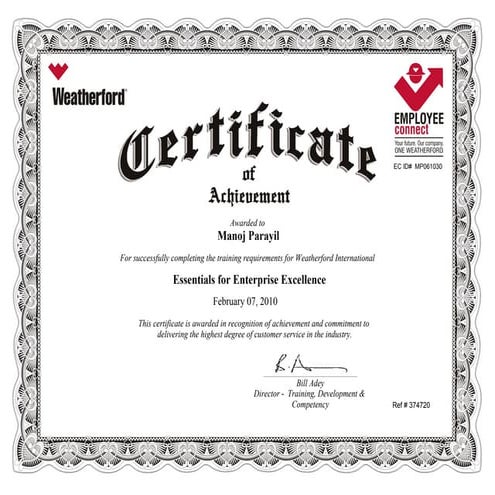 Essentials for Enterprise Excellence | PPT