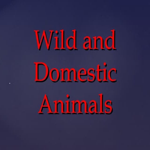 wild and domestic animals | PPT | Dogs | Pets