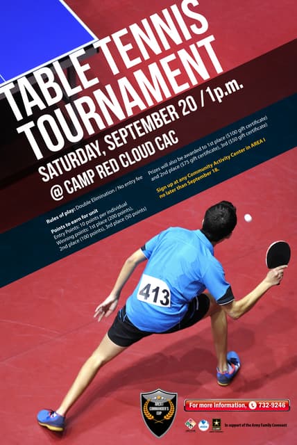 Commander's Cup Video Game Challenge | PDF