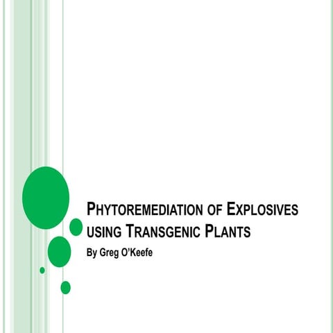 thesis presentation | PPTX