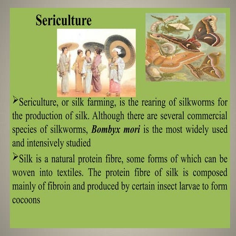 sericulture rearing types and cultivation | PPT