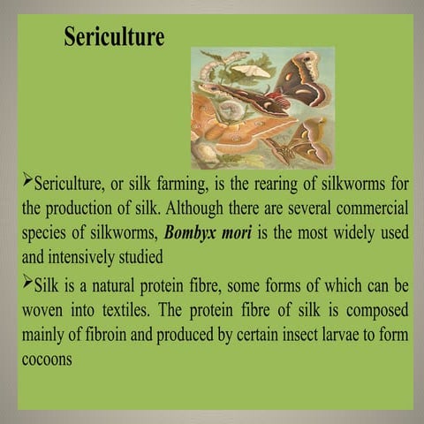sericulture and different spp of silk worms ppt.pptx