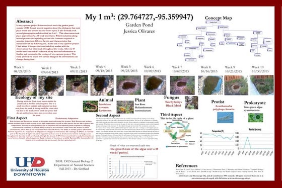 Forensic medicene,putrefaction | PPTX