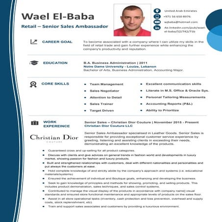 Wael El-Baba (CV) | PDF