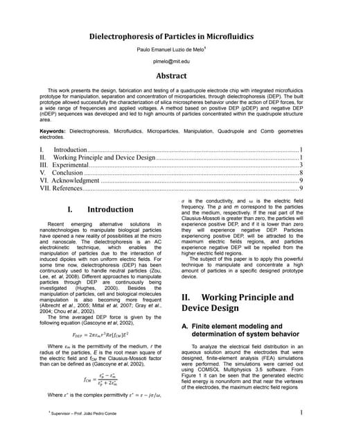 Scanning Electron Microscope Lab Report | PDF