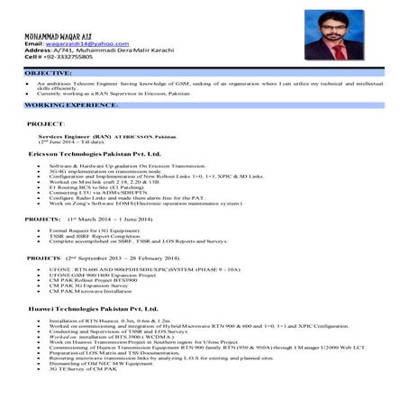 CV - Muhammad Waqar Ali | DOCX