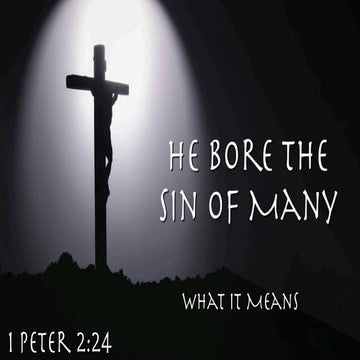 He Bore the Sin of Many - What It Means. | PDF