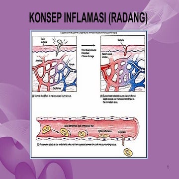 mekanisme vaskuler pada inflamasi.pptx