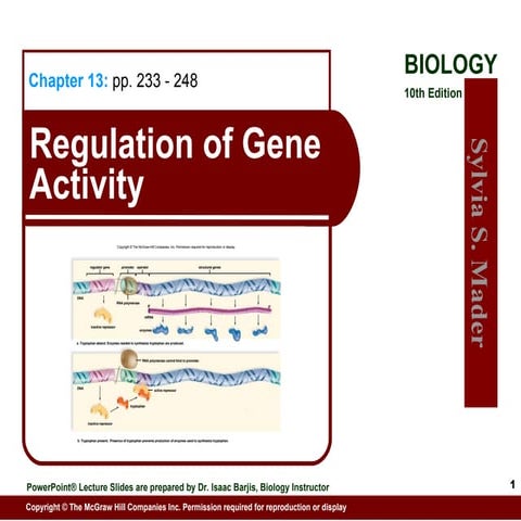 13 Lecture Animation Ppt | PPT