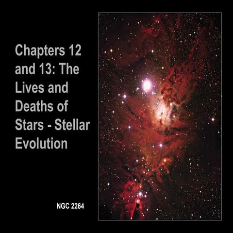 The Life Cycle of Stars Complete Presentation | PPTX