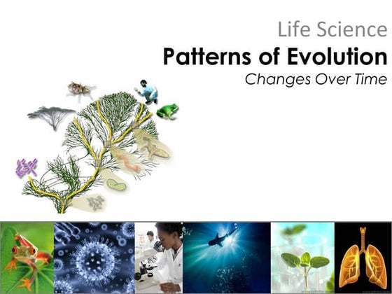 Darwin’s theory of evolution | PPT