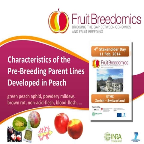 13 peach characteristics of prebreeding material pascal thierry | PPT ...