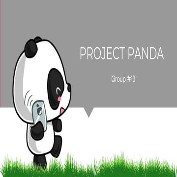 13_Project Panda.pptx
