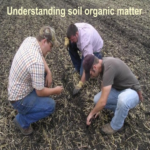 Understanding Soil Organic Matter | PDF