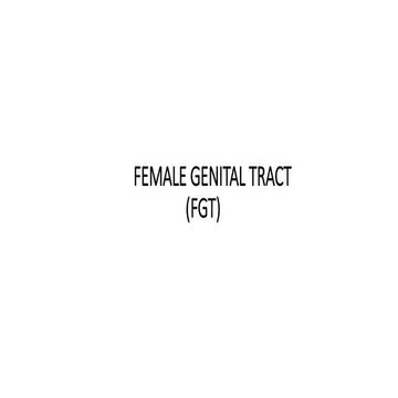 External Genitalia 1 Pptx