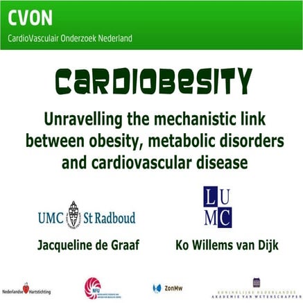 Presentatie Prof. de Graaf en Dr. Willems van Dijk | PPT