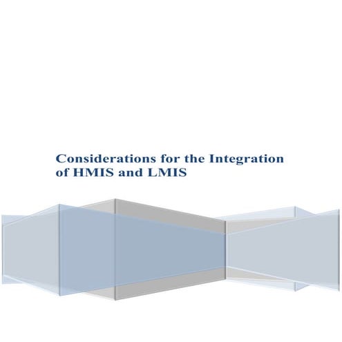 Considerations for the integration of HMIS and LMIS | PDF