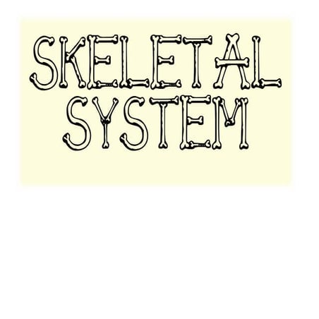 Skeletal System | PDF