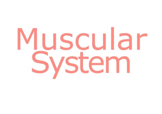 The muscular system powerpoint | PPT