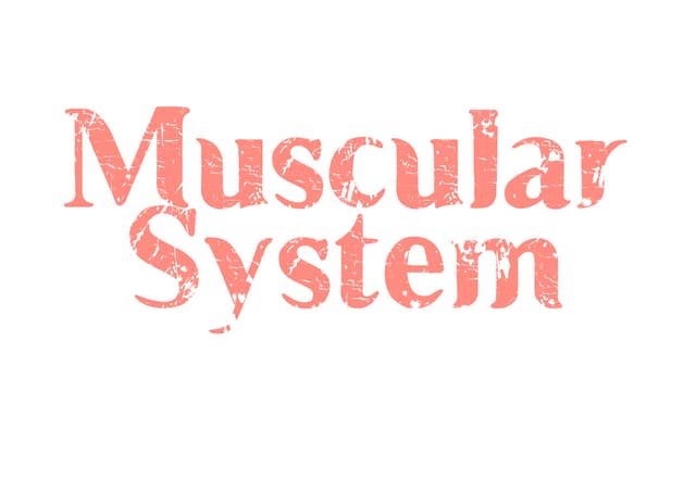 Human Body Systems PPT | PPT