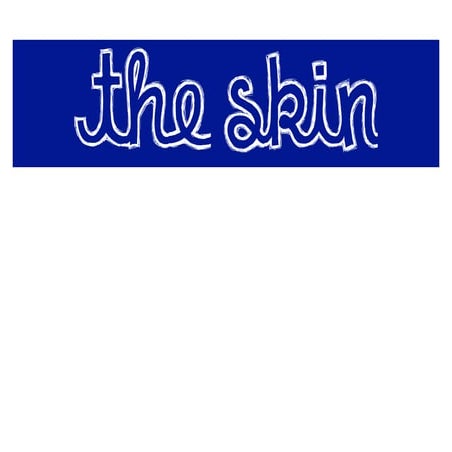 The Skin | PPT