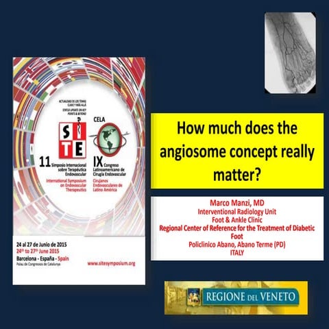 manzi how much does the angiosome concept really matter? | PPTX