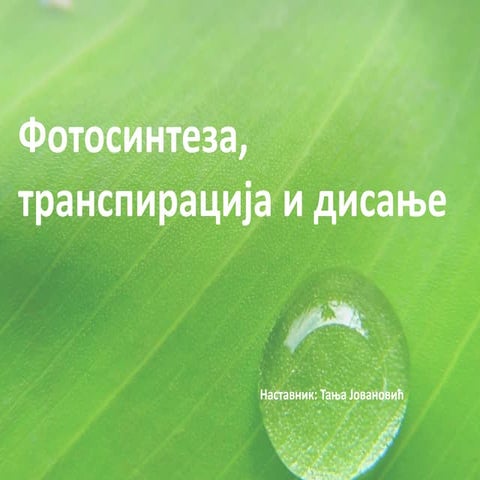 Gradja biljaka | PPTX