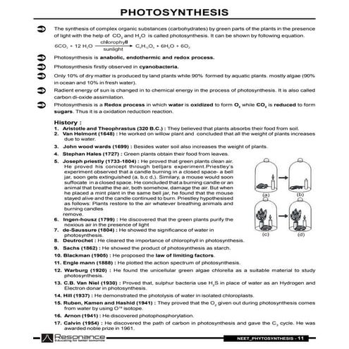 photosynthesis | PDF