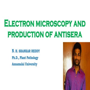 Electron microscopy and production of antisera | PDF