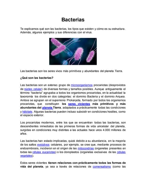 Diapositivas bacterias | PPT