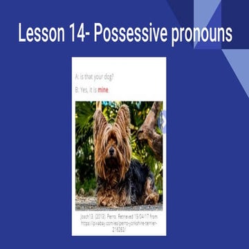 Possessives pronouns.pptx