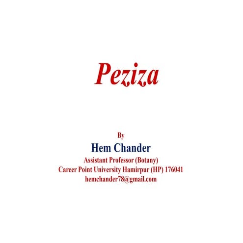 PEZIZA- The Cup Fungus : Habitat and Reproduction | PPTX
