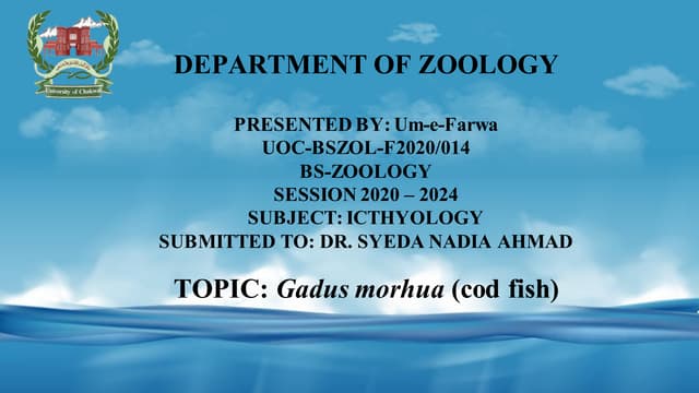 Rainbow Trout Fish Introduction, Morphology & it's Characteristics. | PPTX