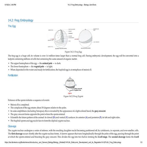 14.2_ Frog Embryology - Biology LibreTexts.pdf