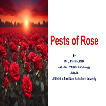 Pests of Rose_Identification_IPM_Dr.UPR.pdf