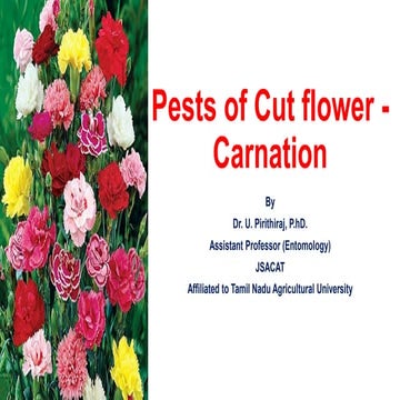 Pests of Cut flowers_Carnation_Dr.UPR.pdf