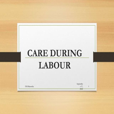 14. Care during labour.pdf22344566666tfghuy | PDF