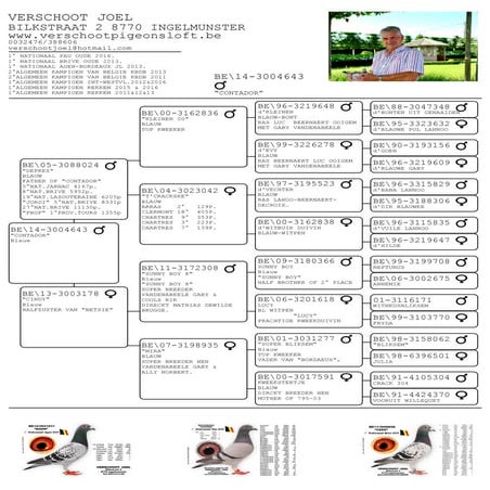 14 3004643 pedpal | PDF