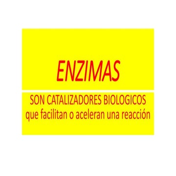 Zimogenos | PPT