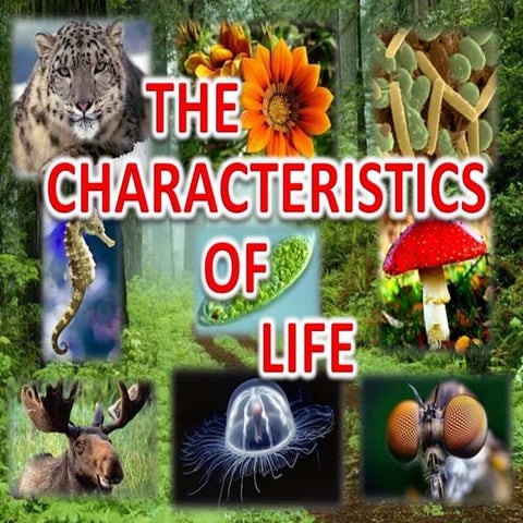 14 the characteristics of life - power point | PPT