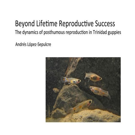 Beyond Lifetime Reproductive Success: The posthumous reproductive ...
