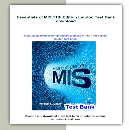 Essentials of MIS 11th Edition Laudon Test Bank | PDF
