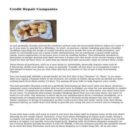 Credit Repair Companies | PDF