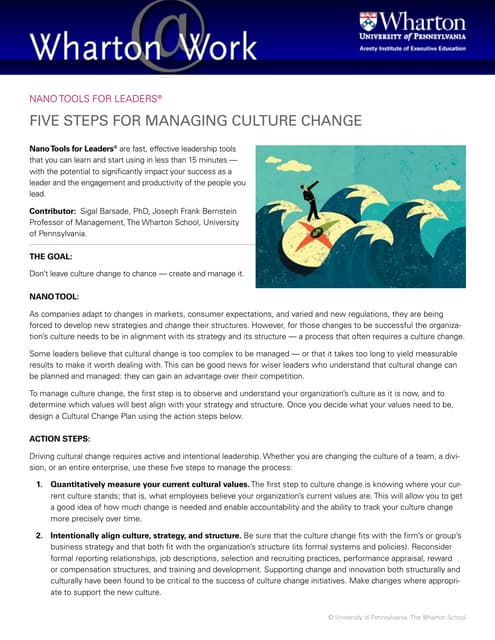 5 Key Steps in Cultural Change Management | Visionary CIOs | PDF