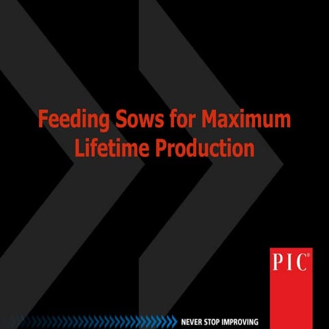 Dr. Matt Culbertson - Feeding Sows for Maximum Lifetime Production | PPTX