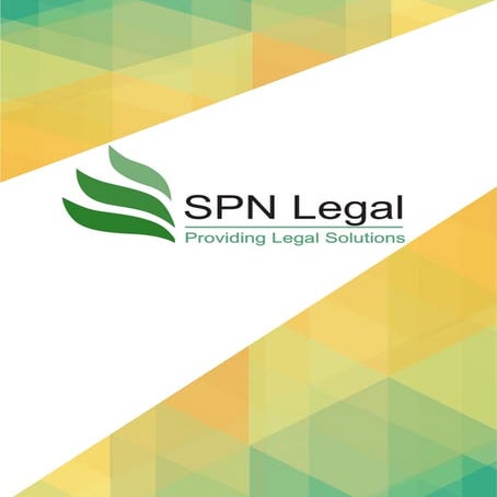 SPN Legal Profile_June 2016 | PDF