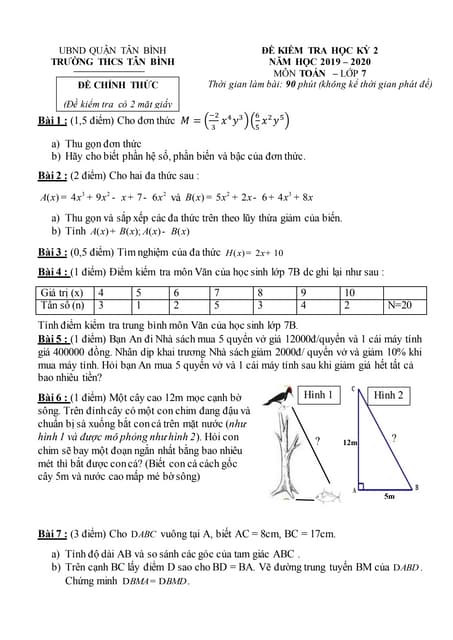 Đề Thi HK2 Toán 7 - THCS Hoàng Diệu | DOCX