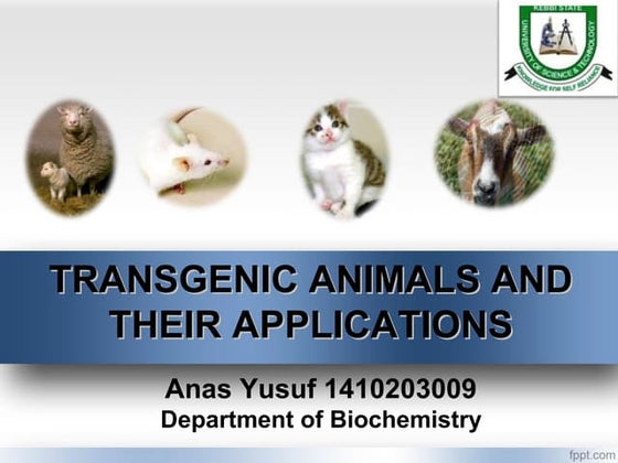 Transgenic organisms in innfectious diseases research | PPT