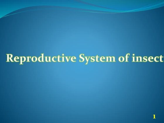 Reproductive system in insect and its types | PPTX | Reproductive ...