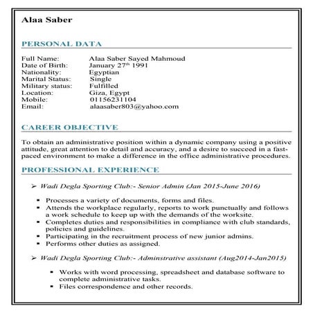 Alaa Saber CV | PDF